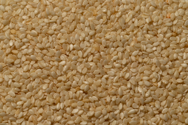 Whole Sesame Seed (1 lb.) [WSESAME] - $7.47 : Butcher & Packer, Sausage ...